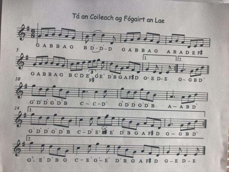 Grúpa Ceoil 2020 An Coileach ag Fógairt an Lae | Gaelscoil Mhíchíl ...